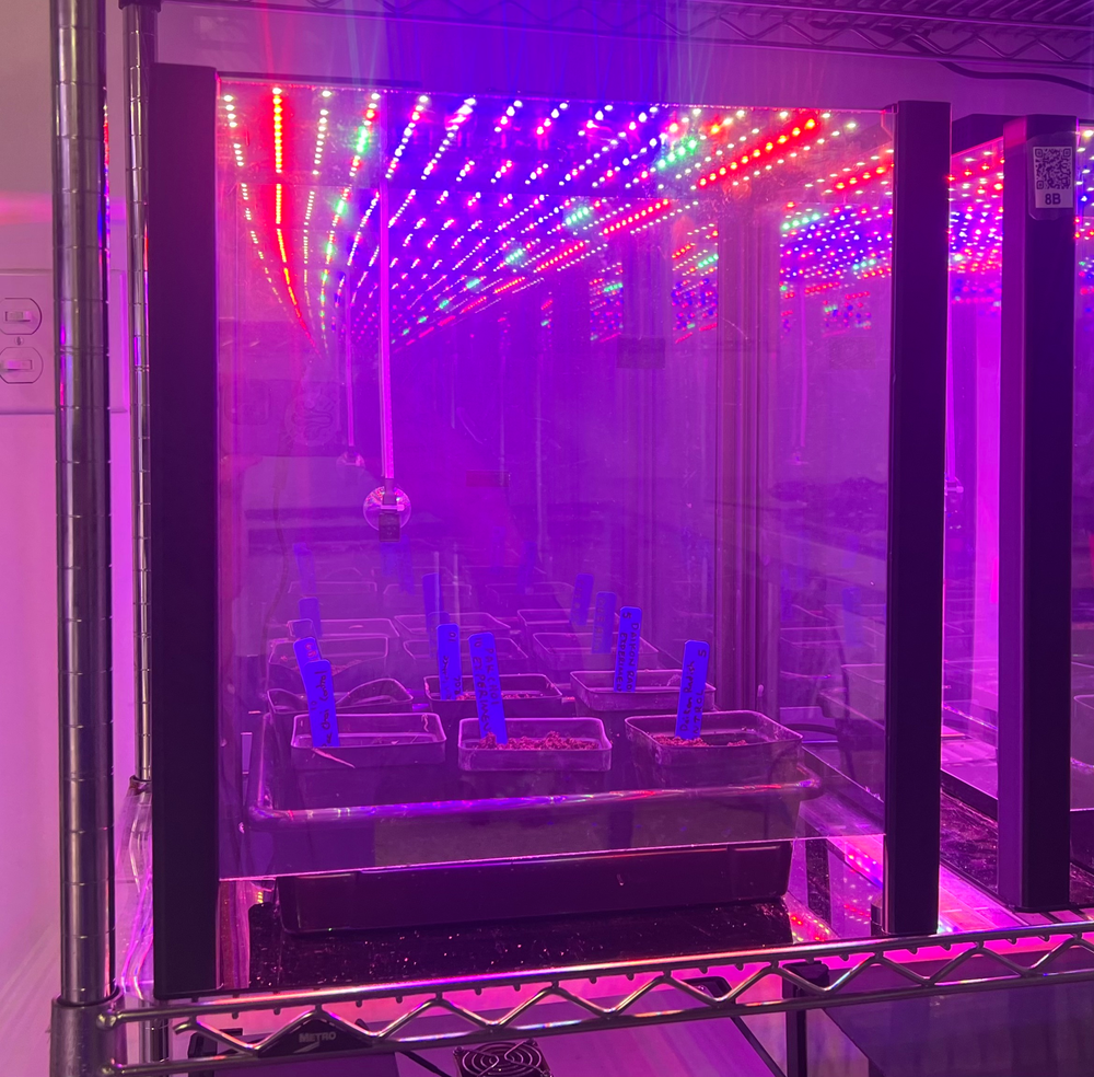 Growing Beyond Earth – Growing Beyond Earth